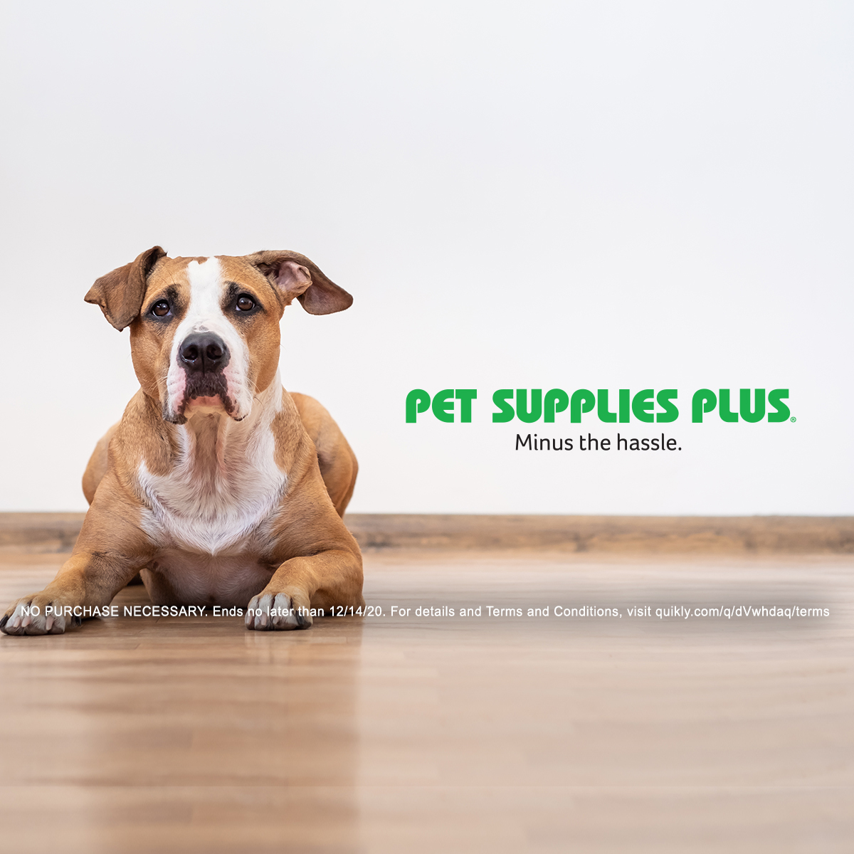 Pet Supplies Plus Gift Card Giveaway Pet Supplies Plus Gift Card Giveaway