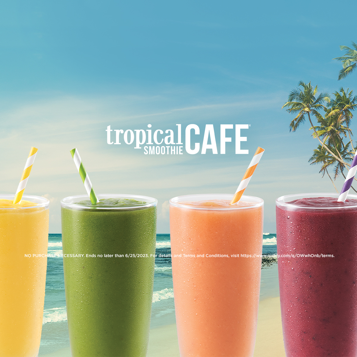 Tropical Smoothie Cafe: Tropical Smoothie Cafe Smoothies for a Year ...