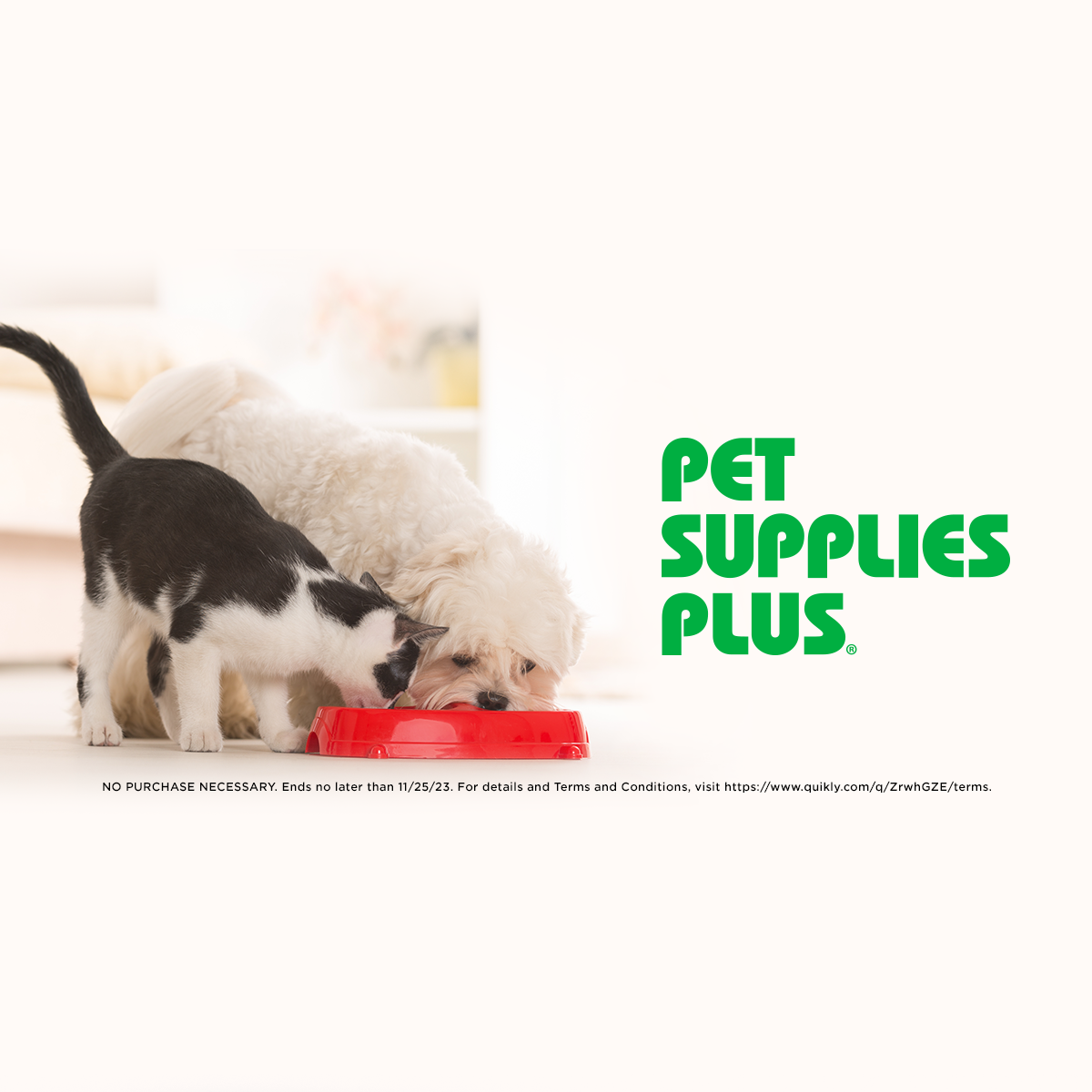 Pet Supplies Plus: Fall for Furry Friends Gift Card Giveaway!