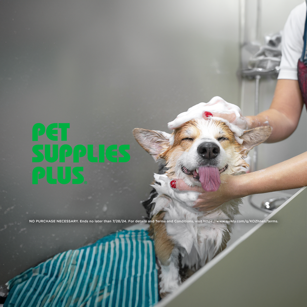 Pet Supplies Plus: Wash, groom and be furry!